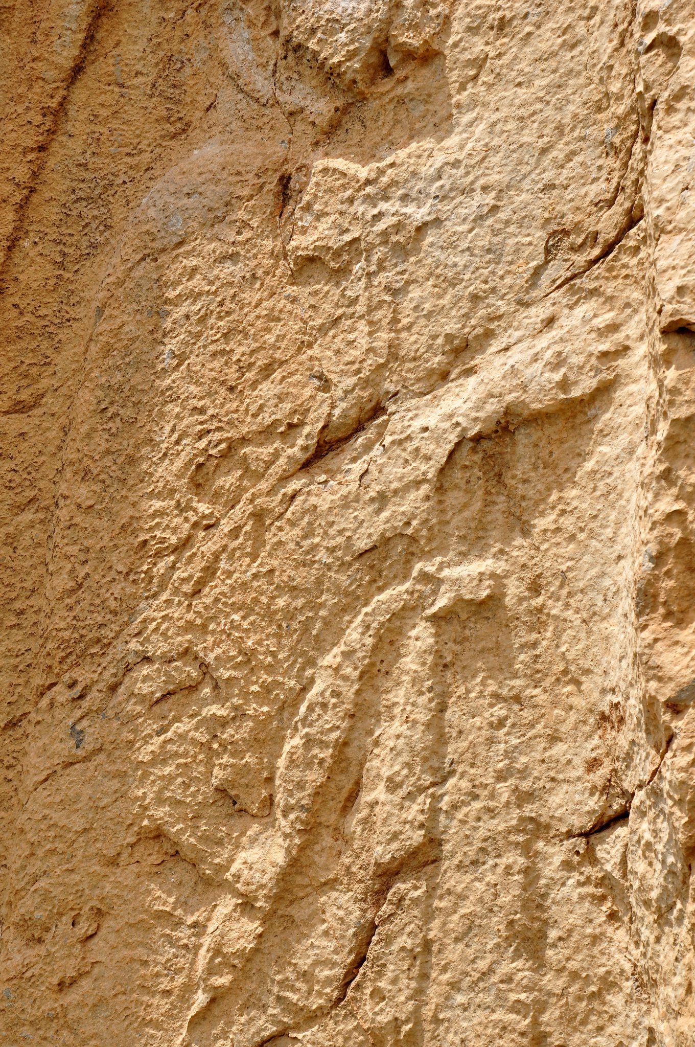 Rock-reliefs of Mountain Merquli, Rabana and their near by settlements ...