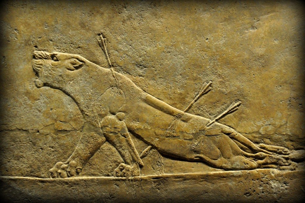 Assyrian Lion-Hunting at the British Museum – World History Foundation